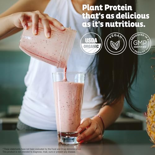plant based protein powder for smoothies