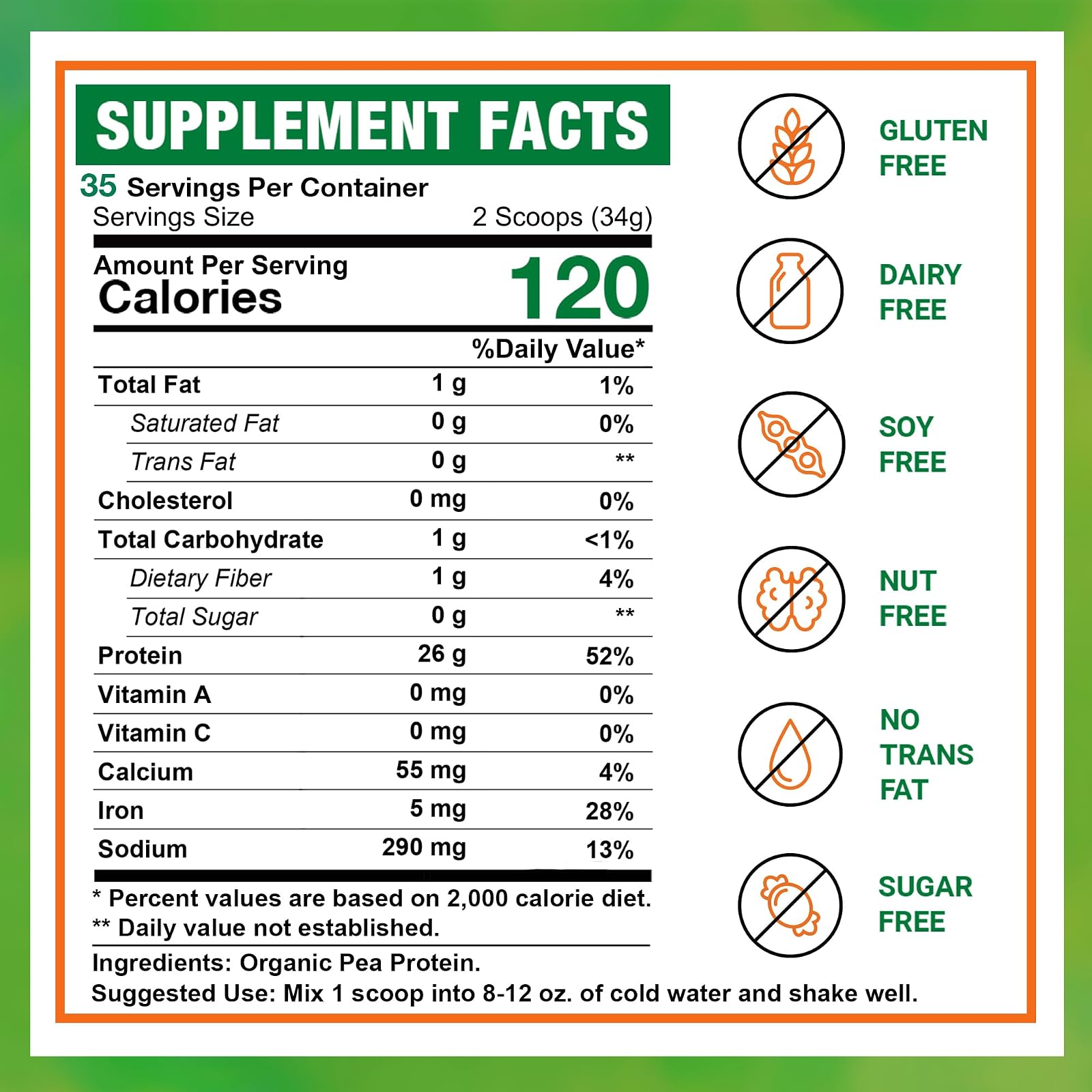 plant based protein powder for smoothies