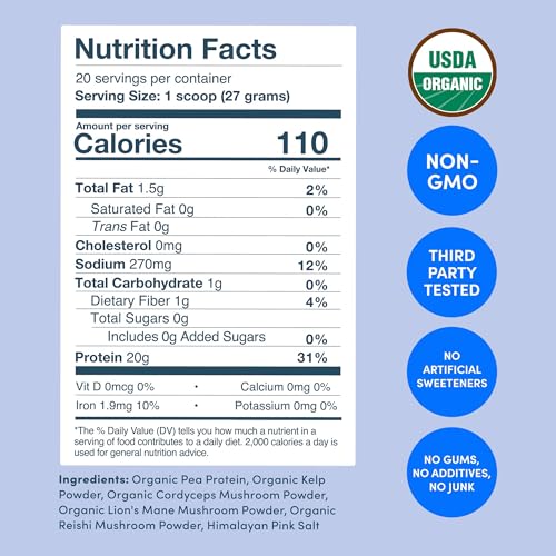 plant based protein powder for smoothies