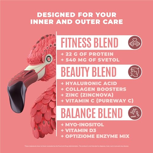 plant based protein powder for smoothies