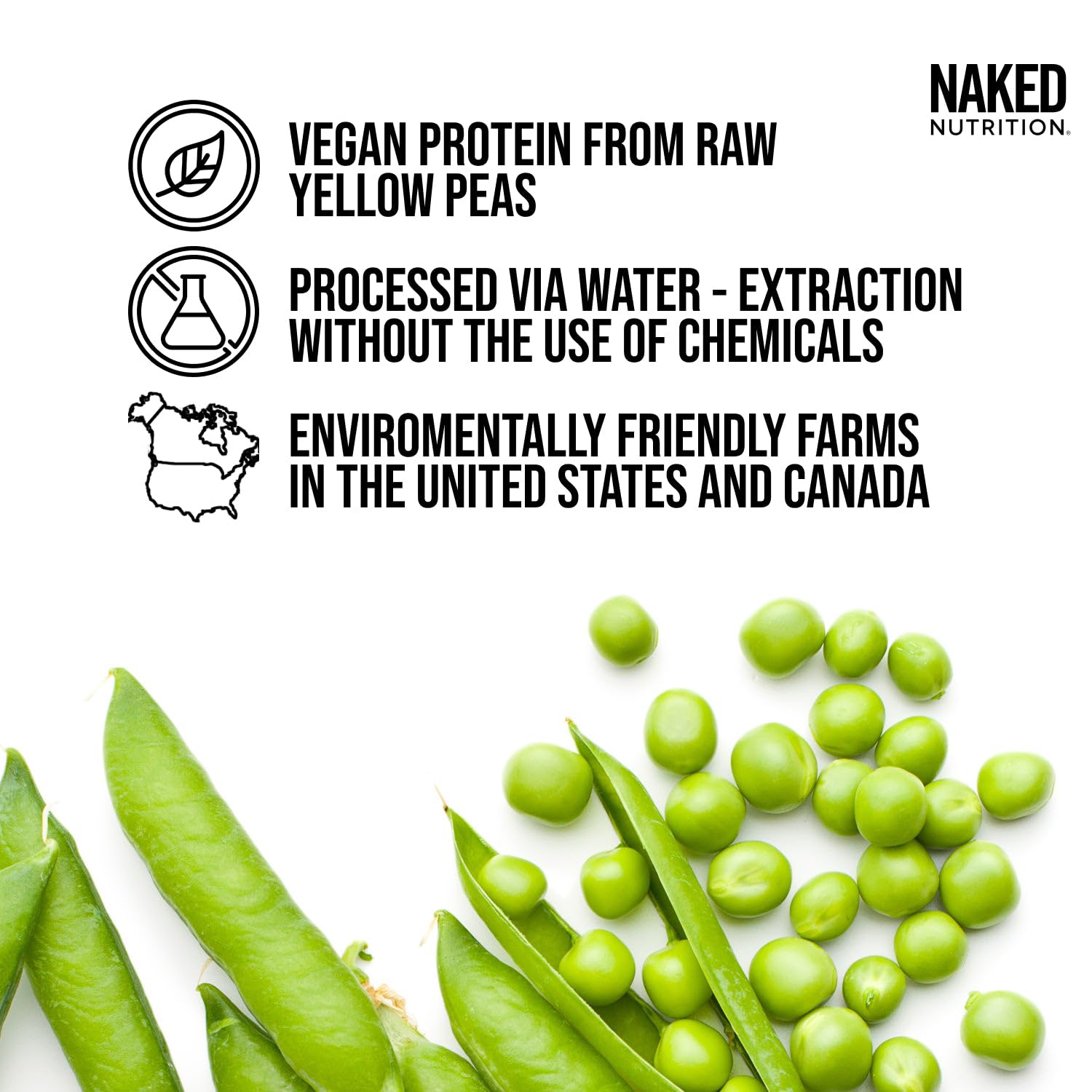 plant based protein powder for smoothies