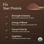 plant based protein powder for smoothies