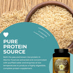 Plant based protein powder for smoothies