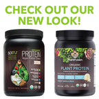 plant based protein powder for smoothies