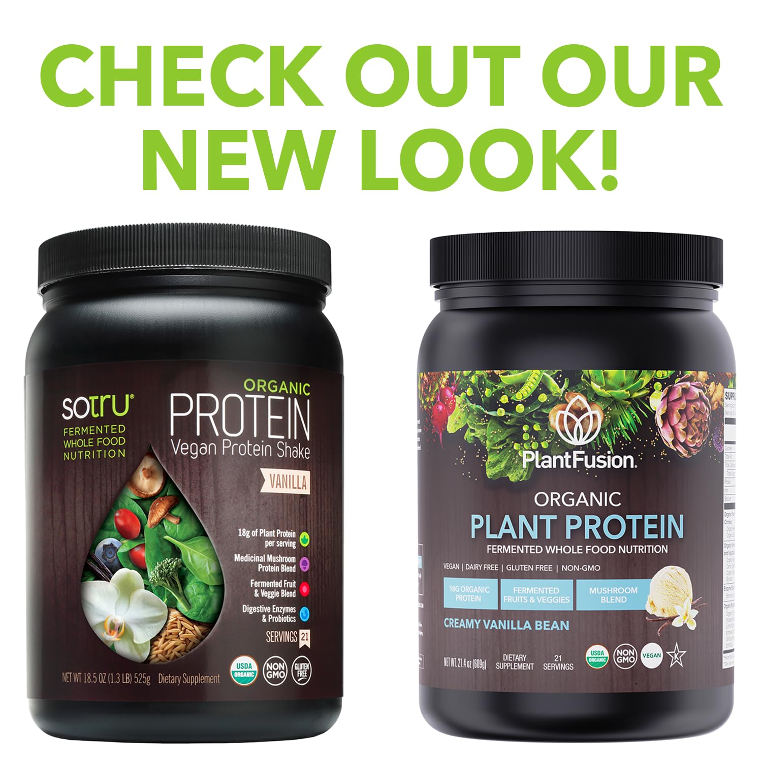 plant based protein powder for smoothies