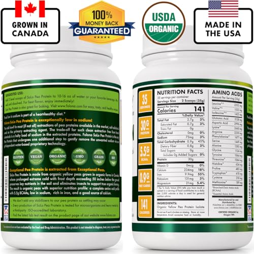 plant based protein powder for smoothies