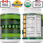 plant based protein powder for smoothies