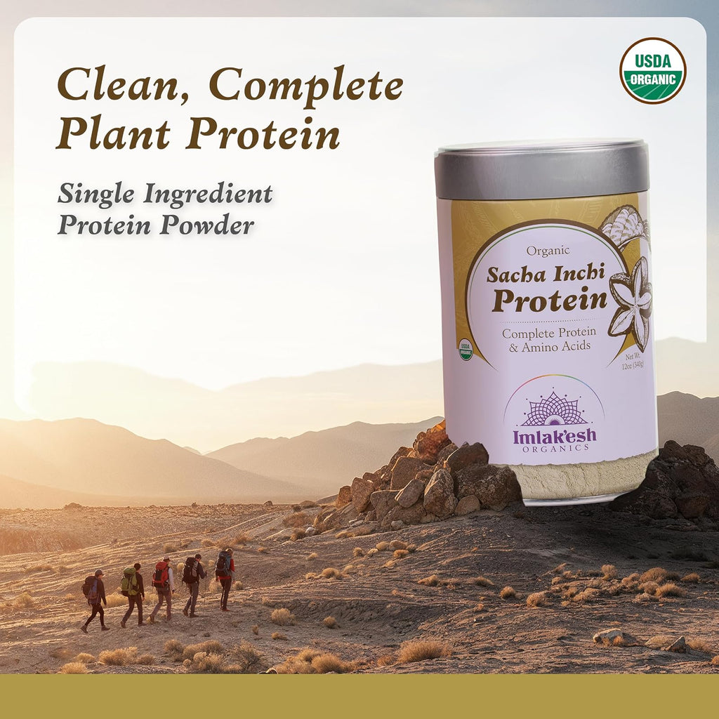plant based protein powder for smoothies