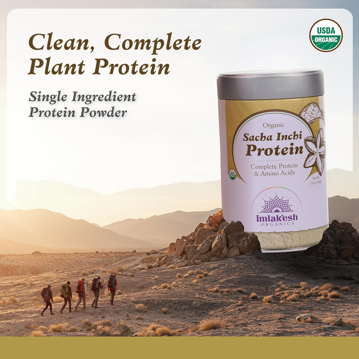 plant based protein powder for smoothies