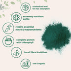 plant-based protein source chlorella