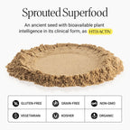 plant-based protein source for energy