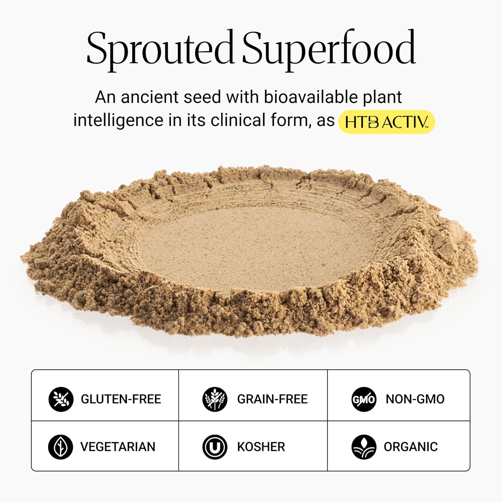 plant-based protein source for energy