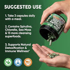 plant-based protein source for vegans