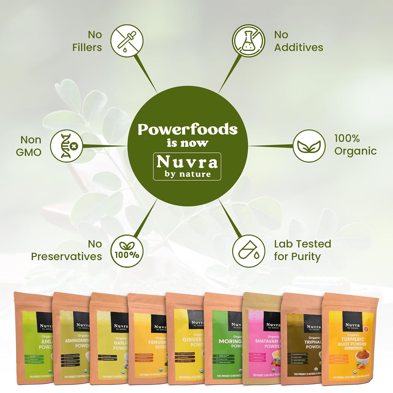 plant-based protein source moringa