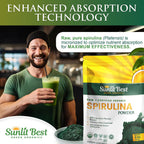 plant-based protein spirulina powder