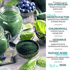 plant-based protein superfood powder