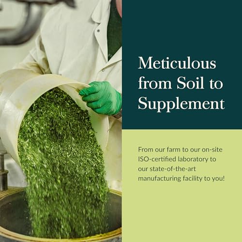 plant-based quercetin for inflammation relief