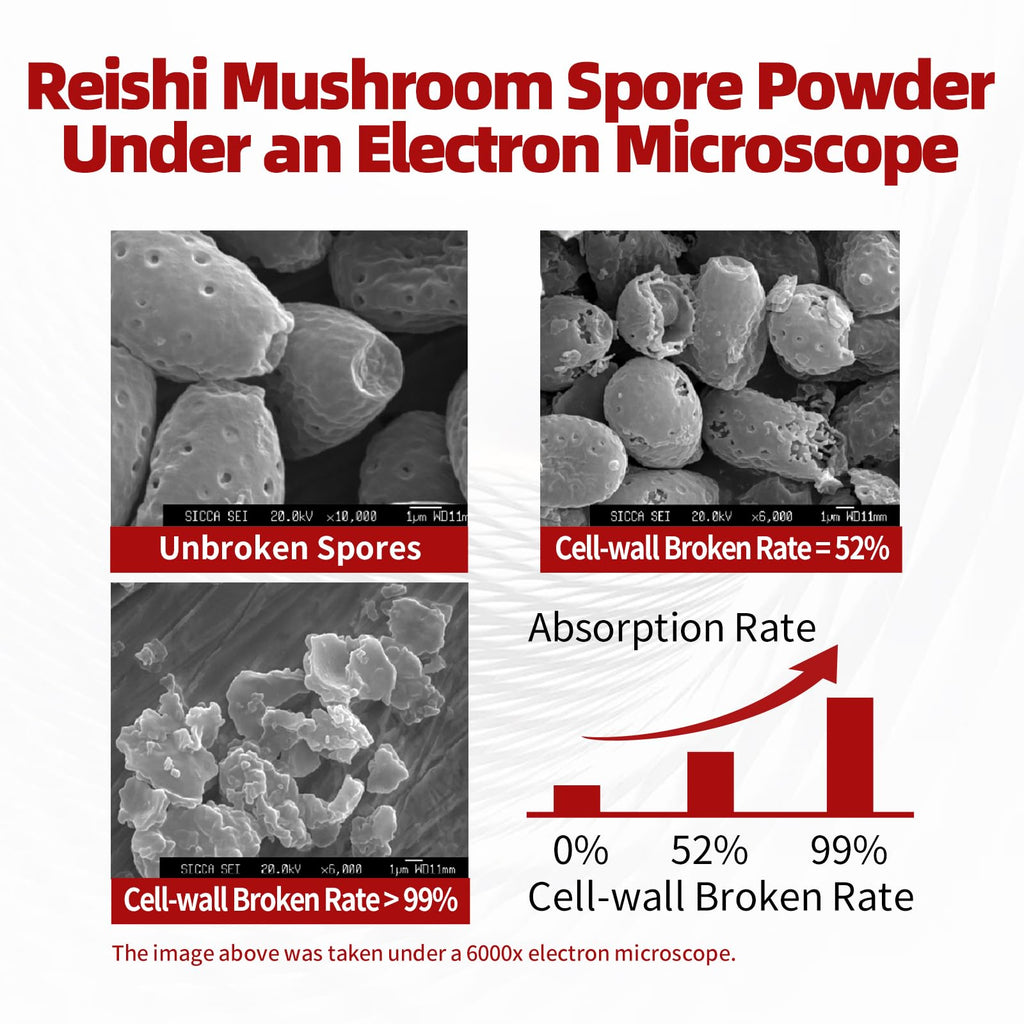 plant-based reishi mushroom benefits