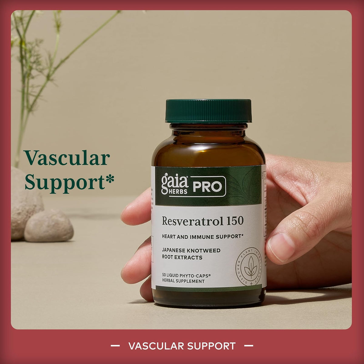 plant-based Resveratrol for wellness