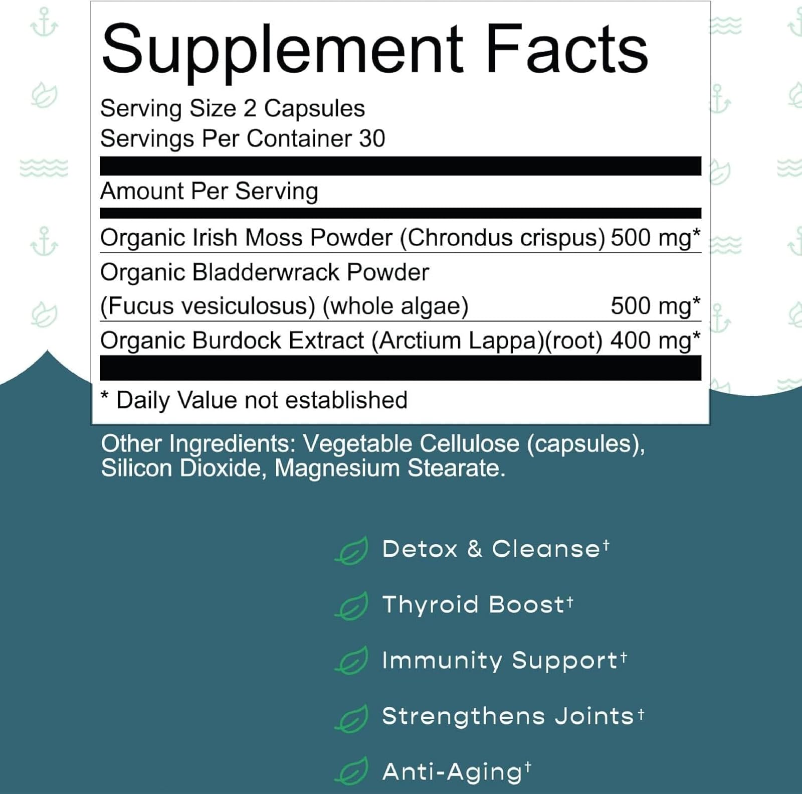 Plant-based sea moss nutrition