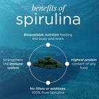 plant-based spirulina protein source