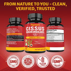plant-based supplement for active lifestyle