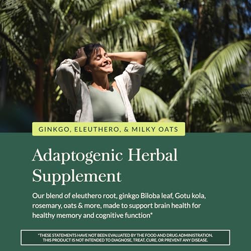 plant-based supplement for alertness