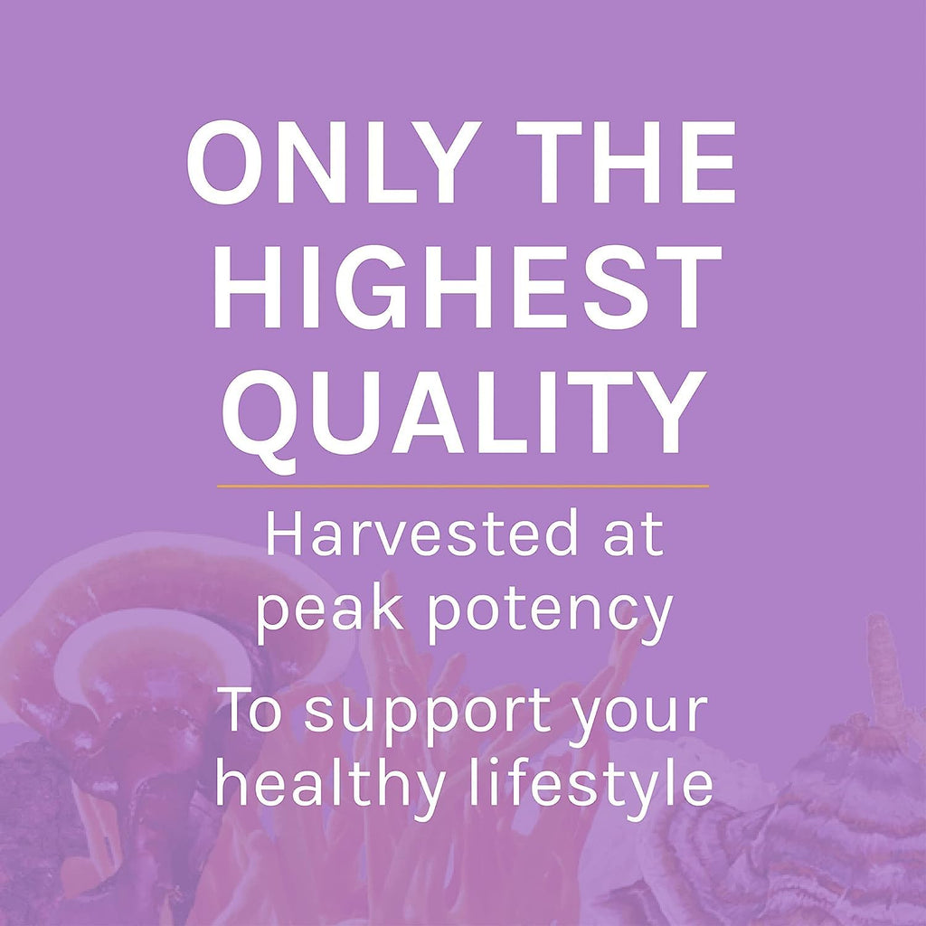 plant-based supplement for brain power