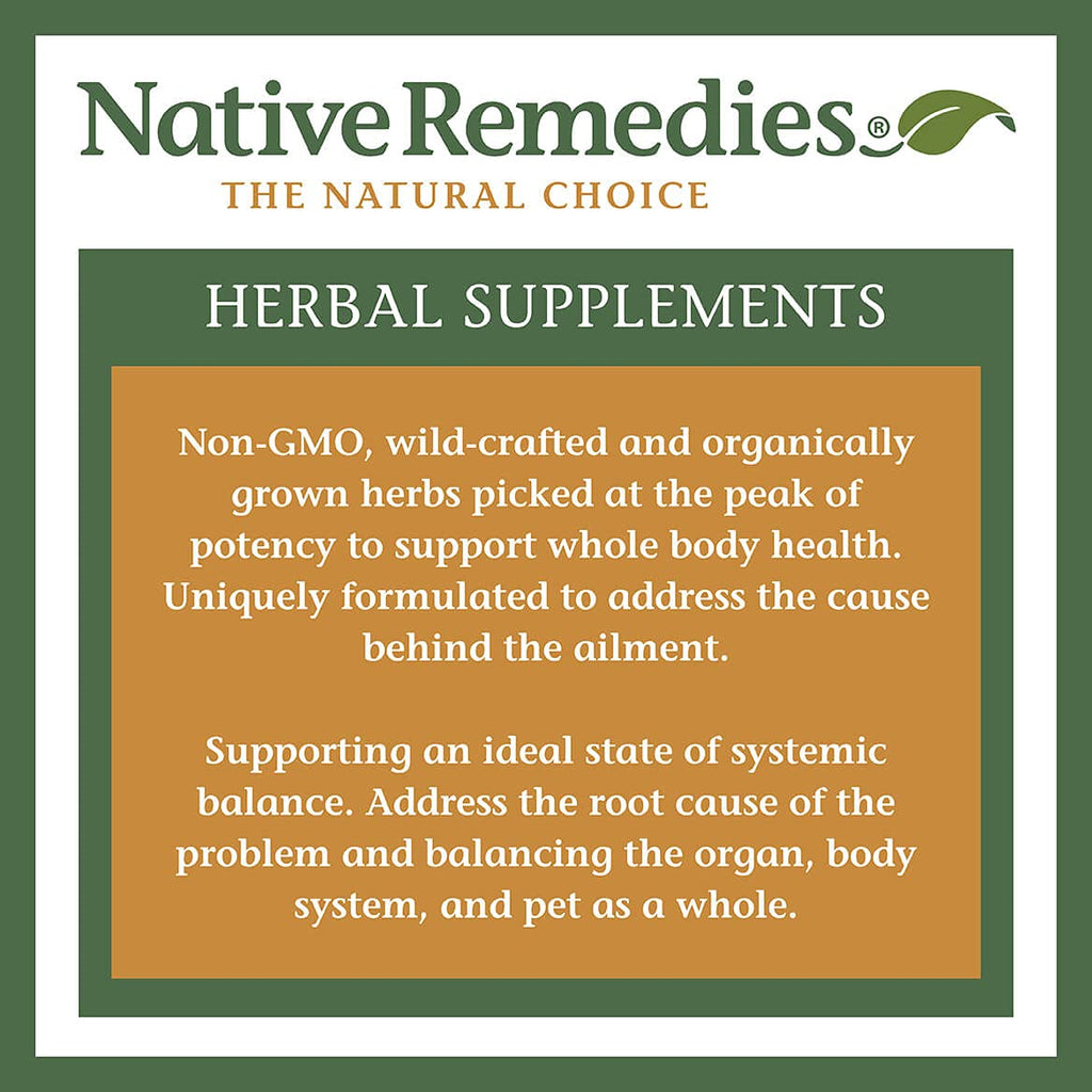 Plant-based supplement for daily health support