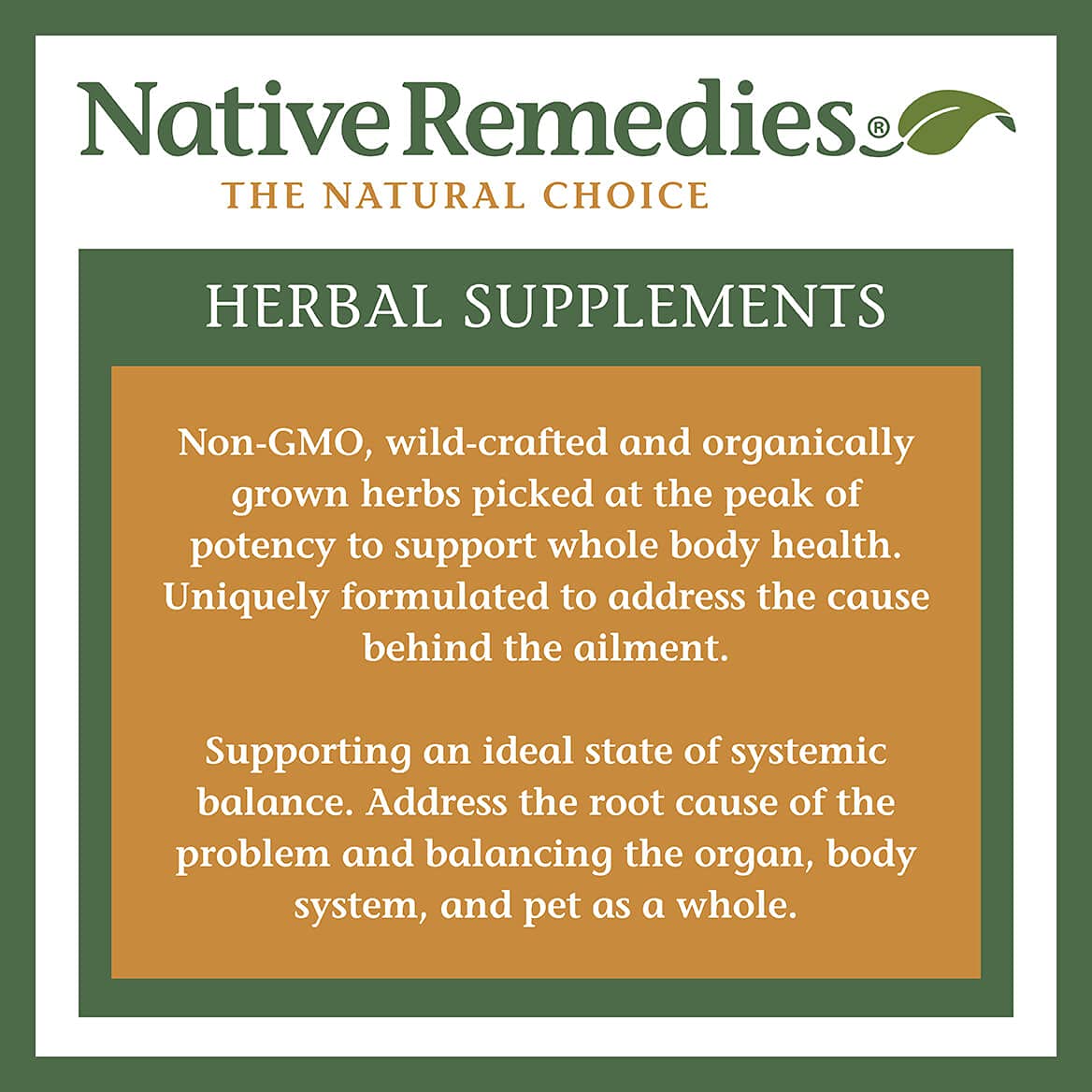 Plant-based supplement for daily health support