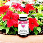 plant-based supplement for digestive comfort