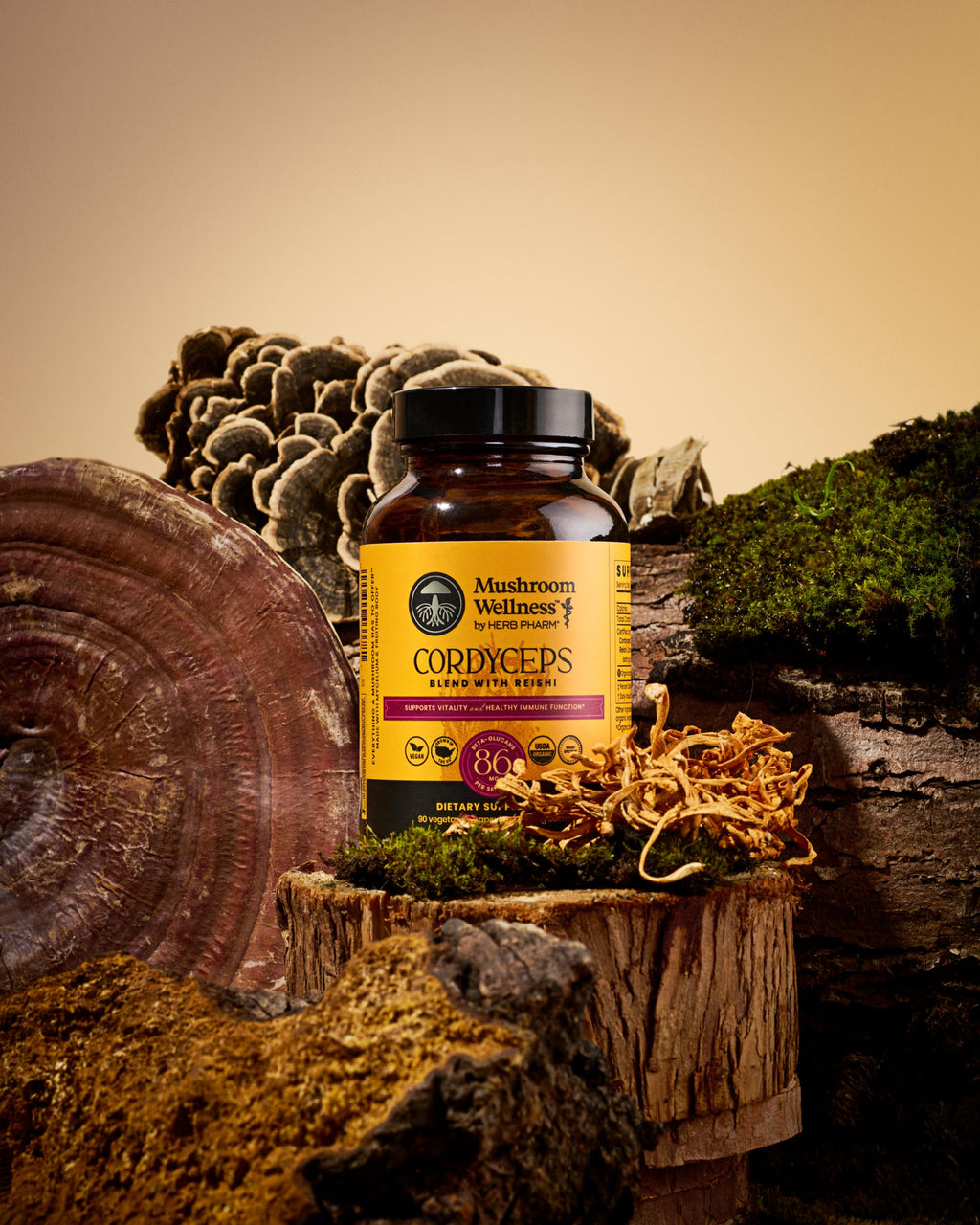 plant-based supplement for energy