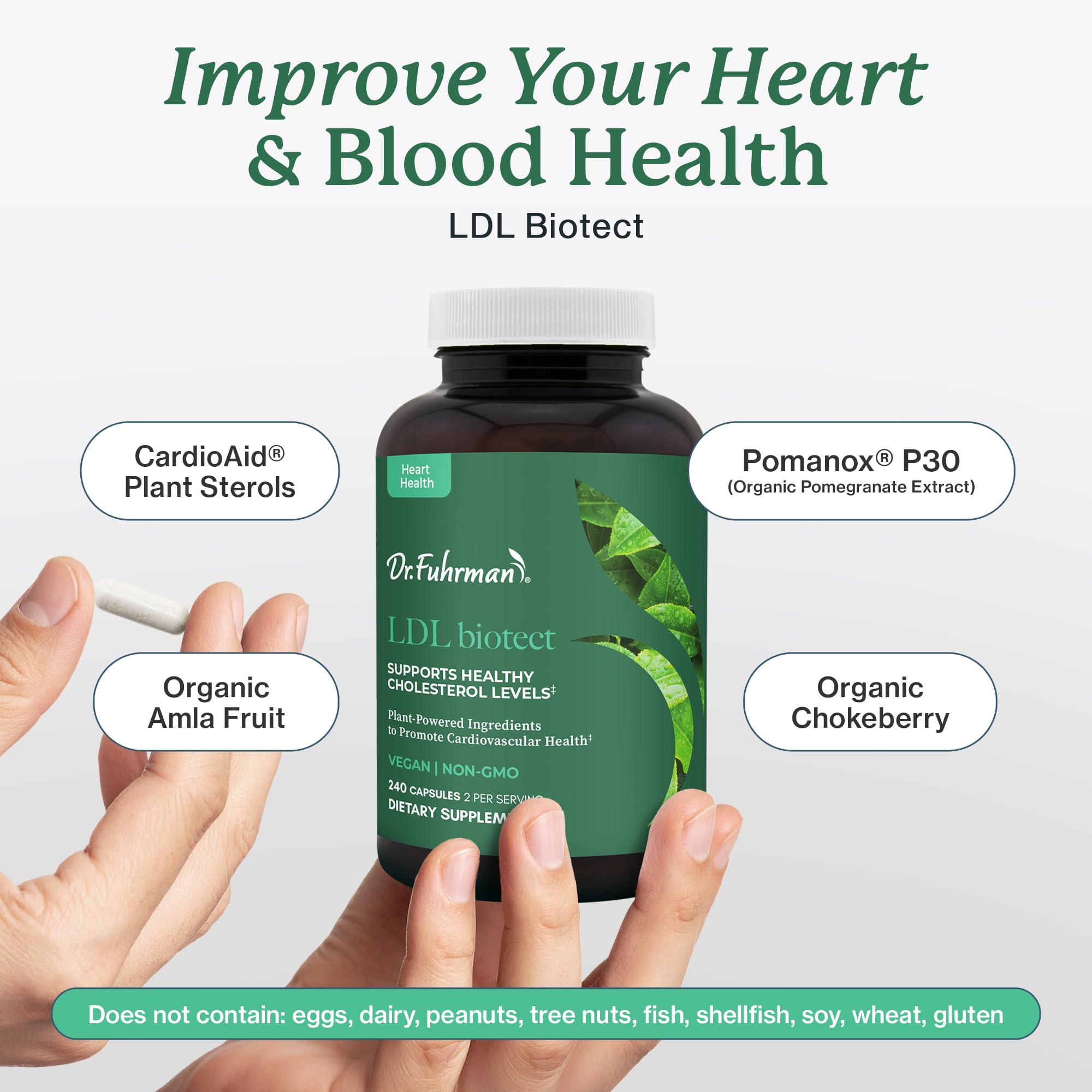plant-based supplements for cholesterol