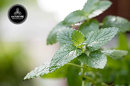 plant-based supplements for daily health