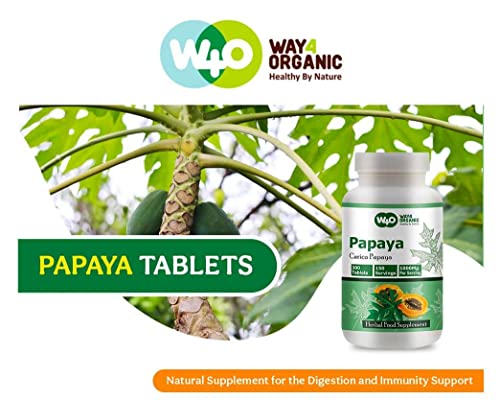 Plant-based supplements for digestive health