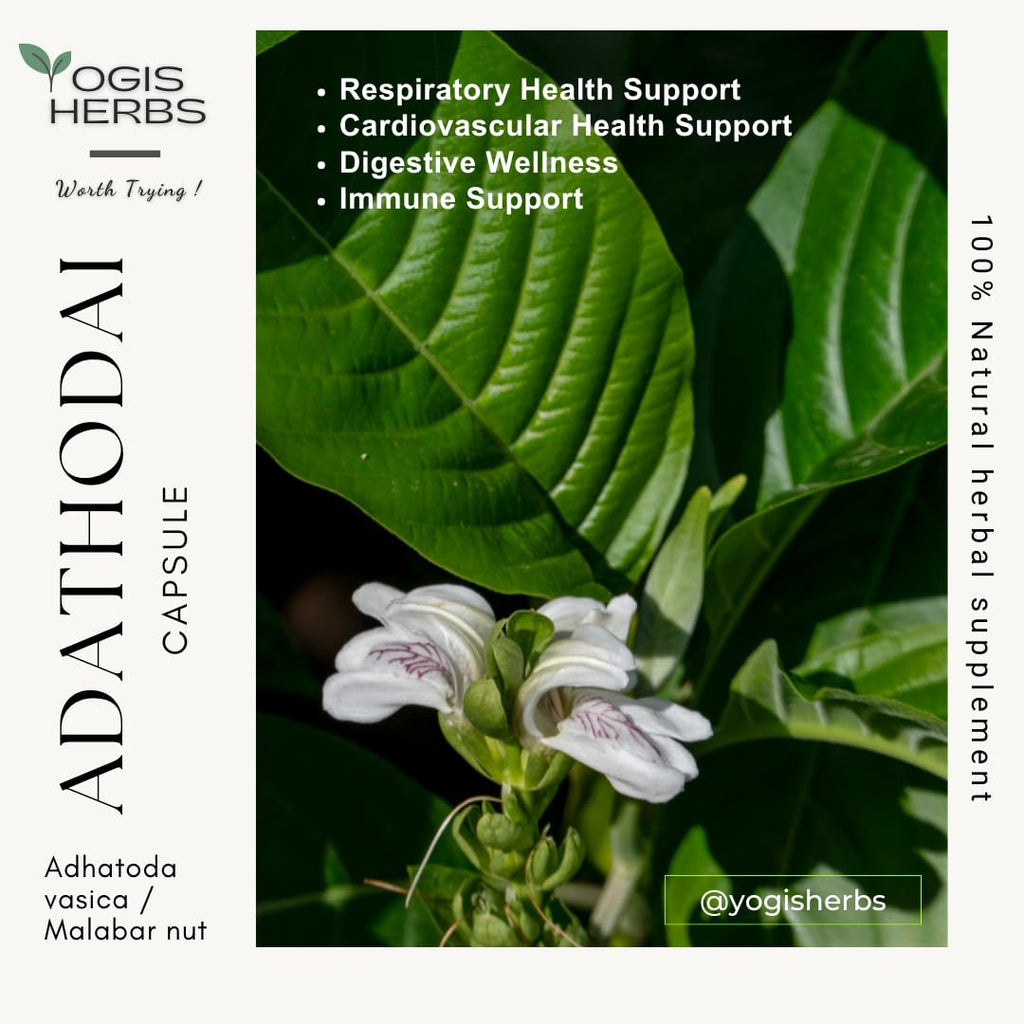 plant-based supplements for respiratory aid