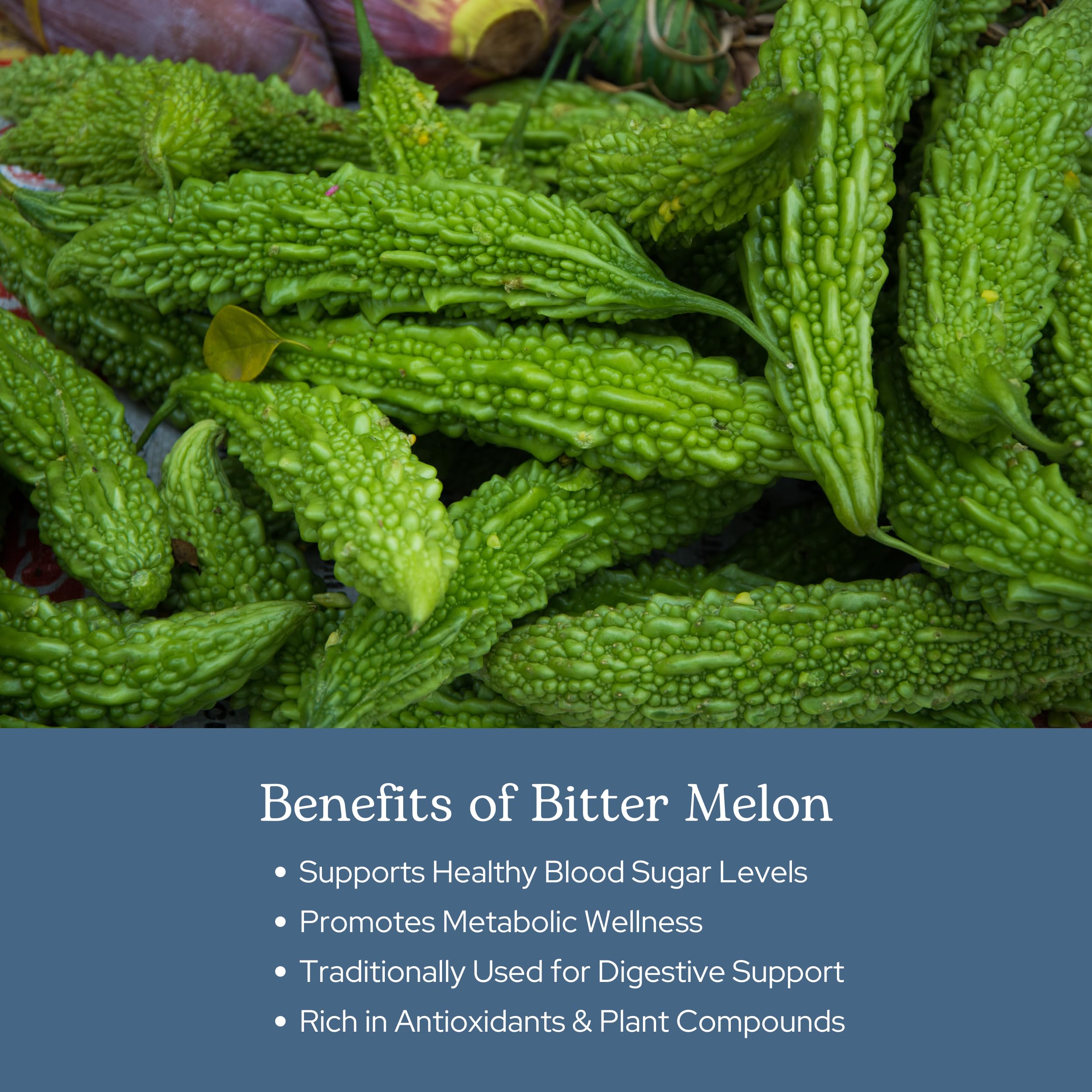 Plant-based supplements for wellness