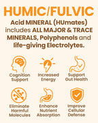 plant-based trace minerals supplement