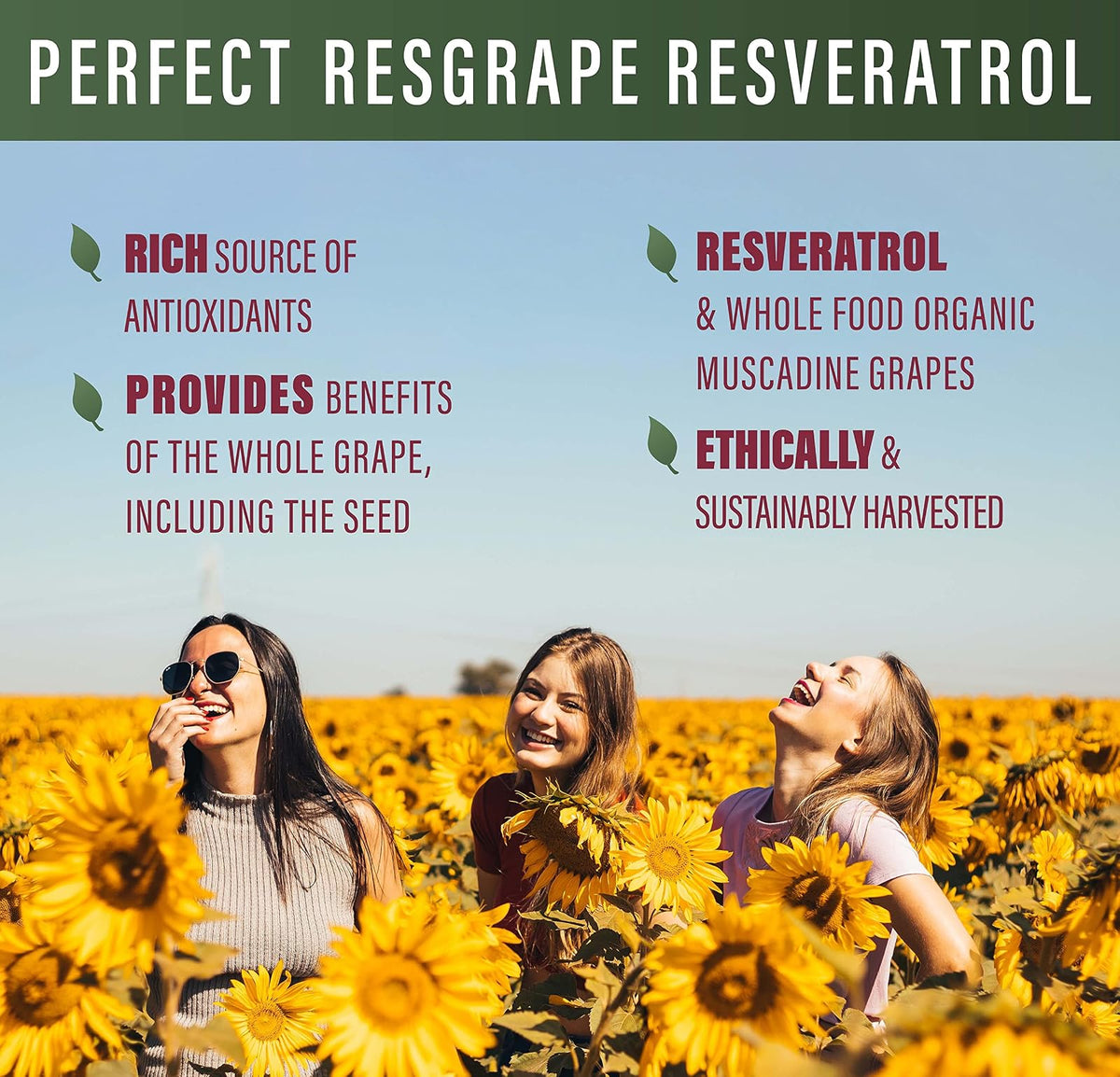 plant-based trans-resveratrol for wellness