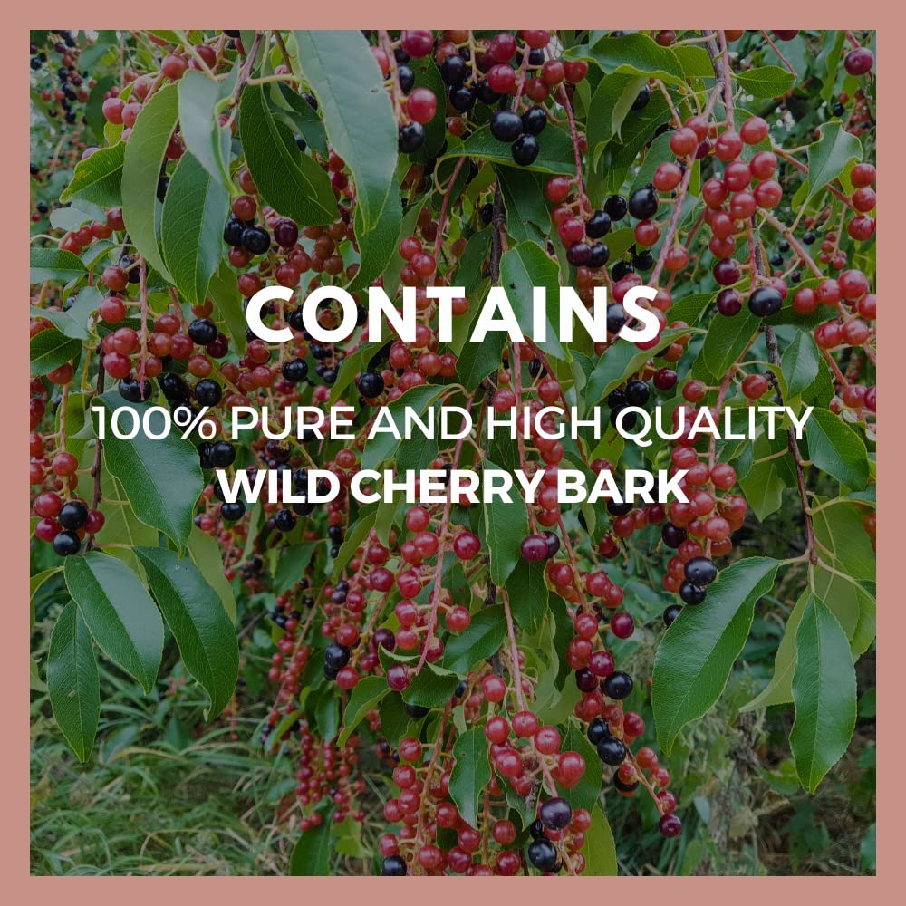plant-based vitamin and mineral blend