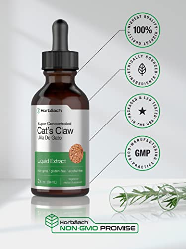 Plant-based vitamin and mineral formula