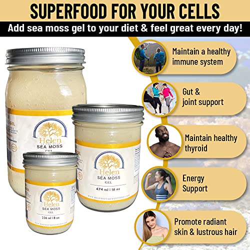 plant-based vitamin and mineral source