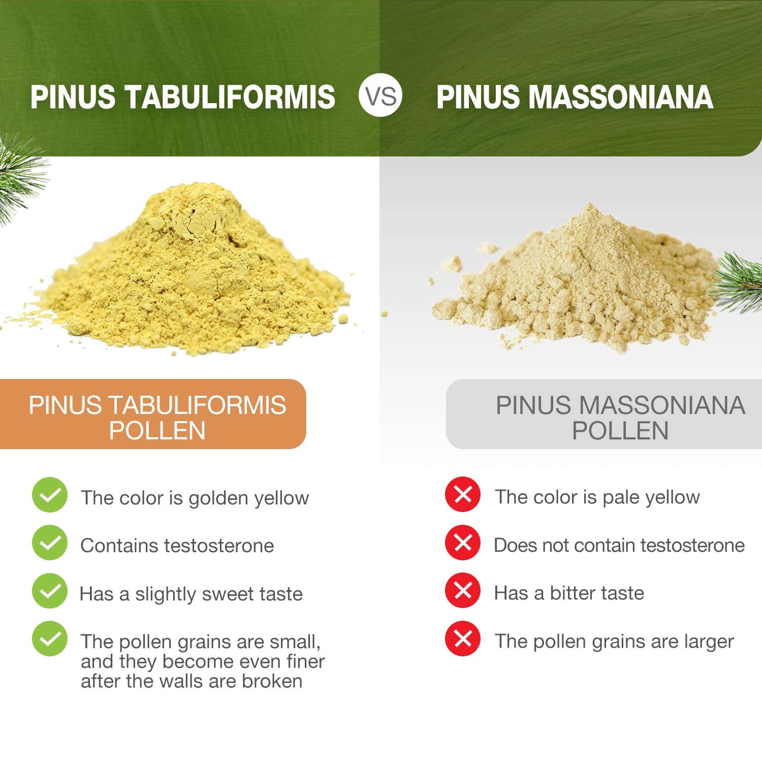 plant-based vitamin and mineral source
