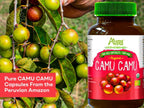 Plant-based vitamin C capsules