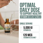 plant-based vitamin d3 benefits