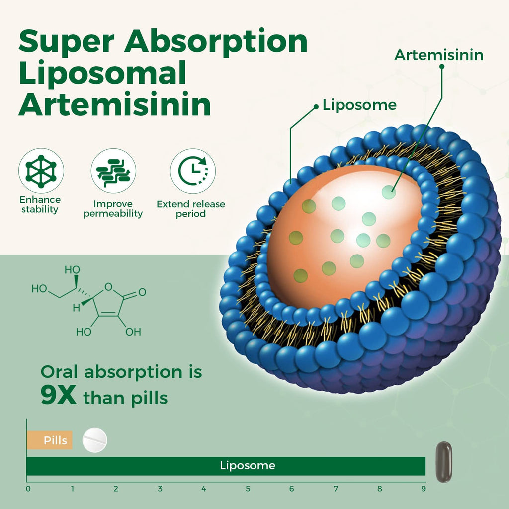 plant-based vitamins and minerals