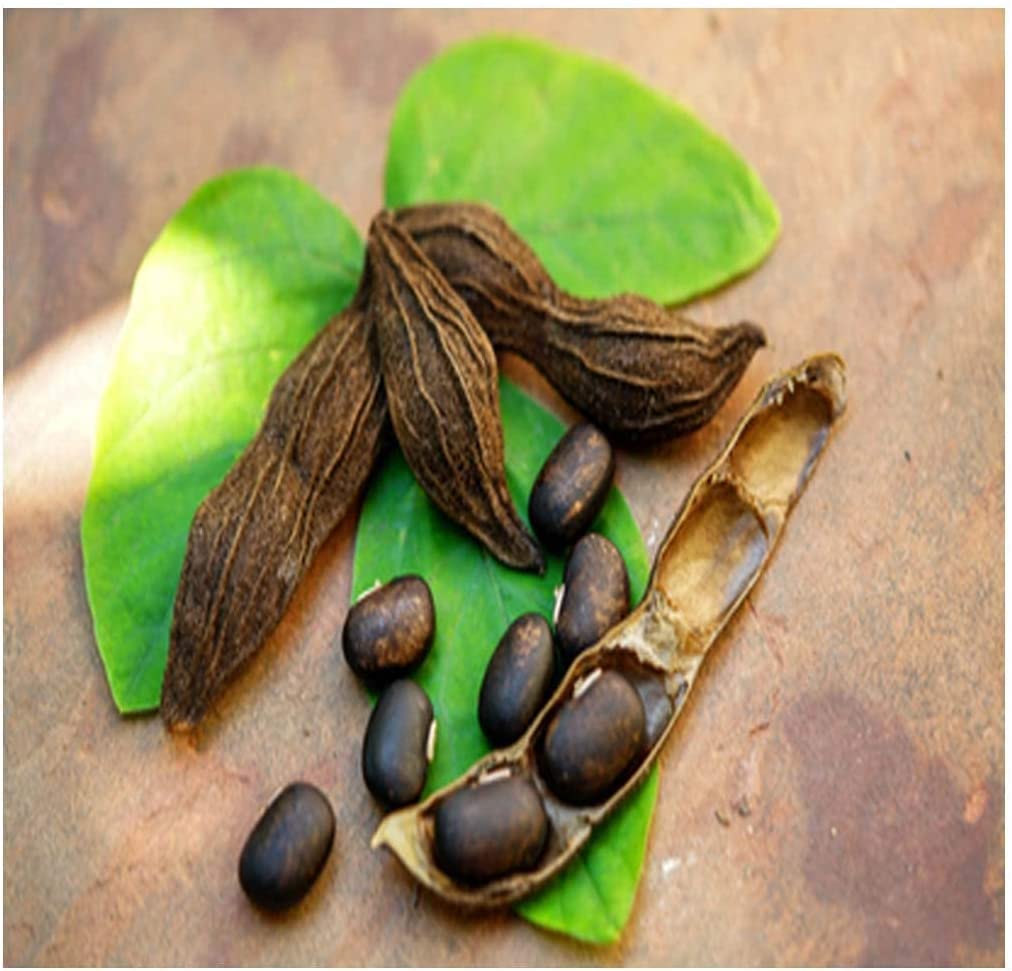 plant-based vitamins for daily health