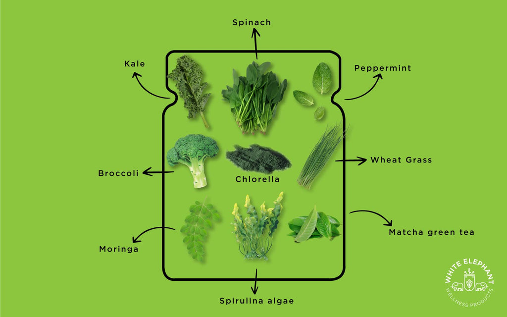 plant-based vitamins for everyday wellness