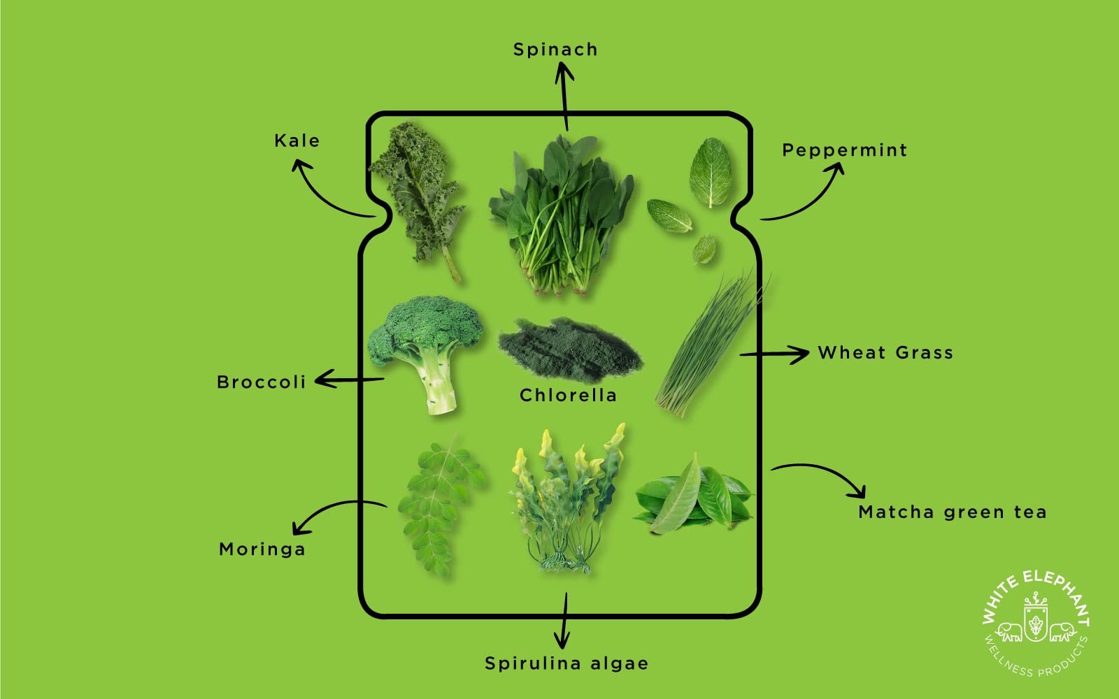 plant-based vitamins for everyday wellness