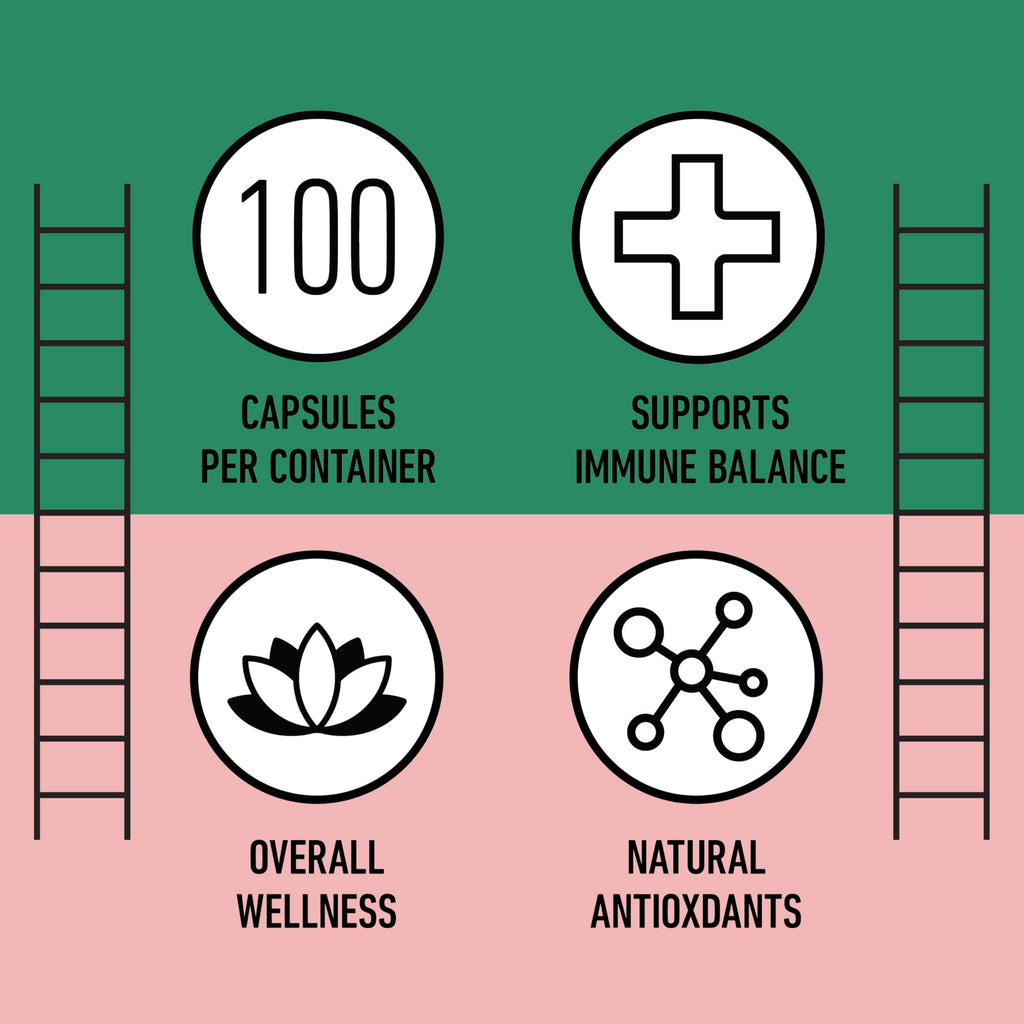 plant-based wellness supplement for everyone